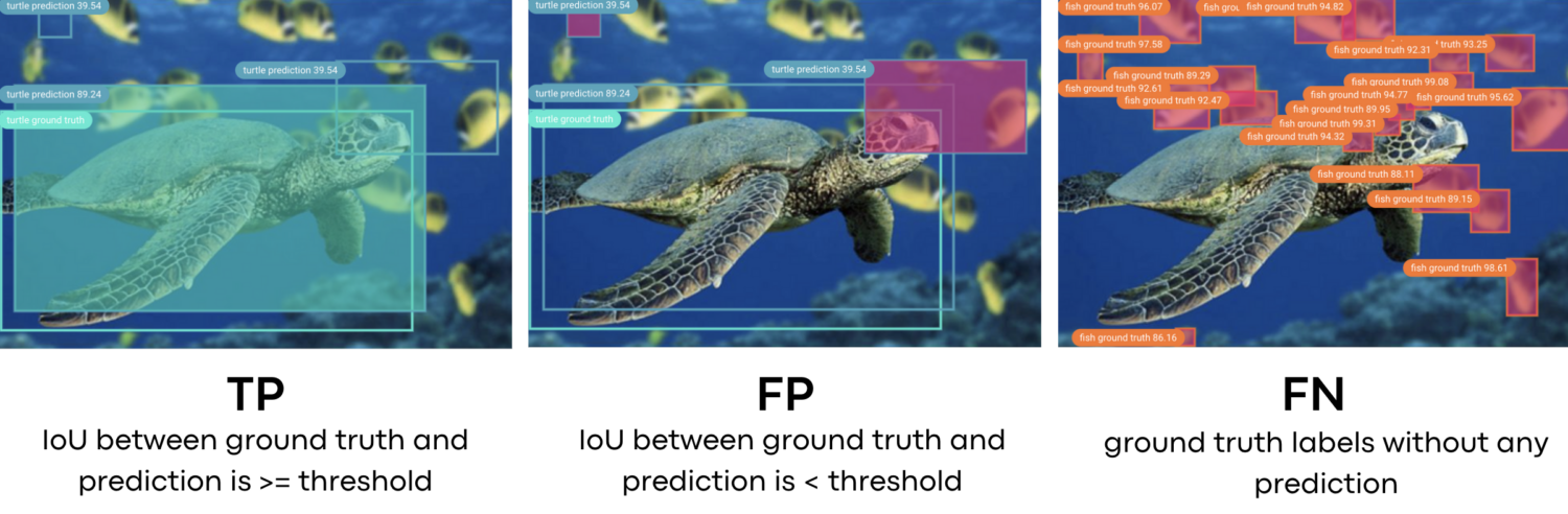Compare Object Detection Models From Torchvision
