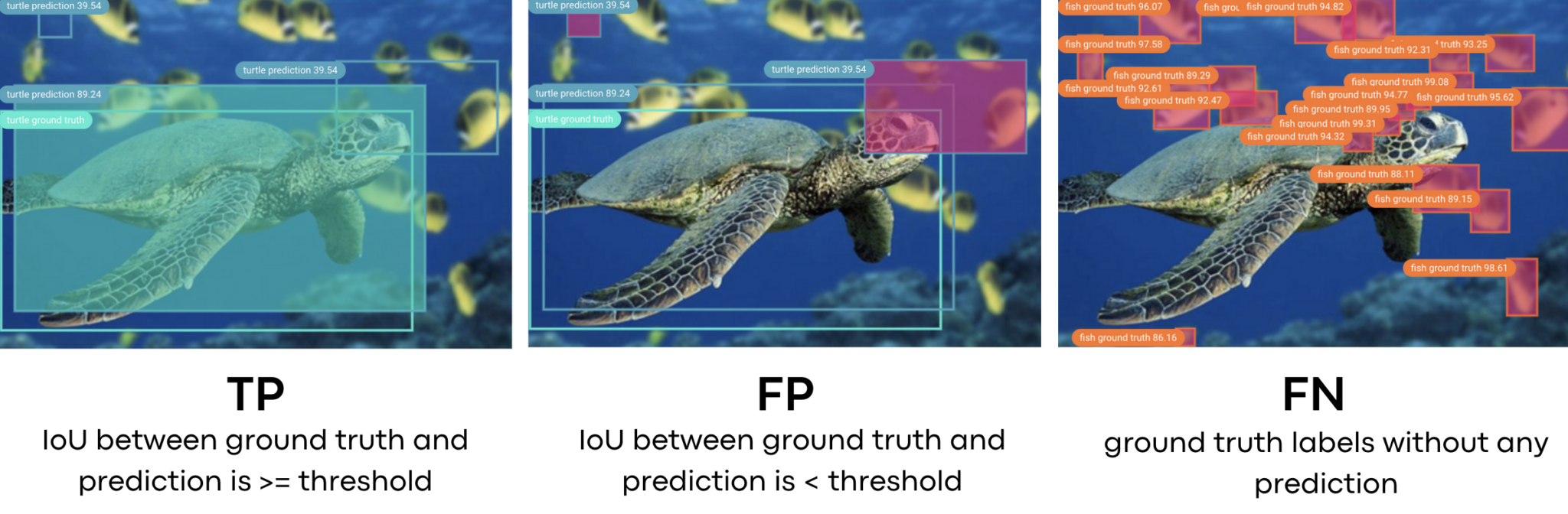 Compare Object Detection Models From Torchvision