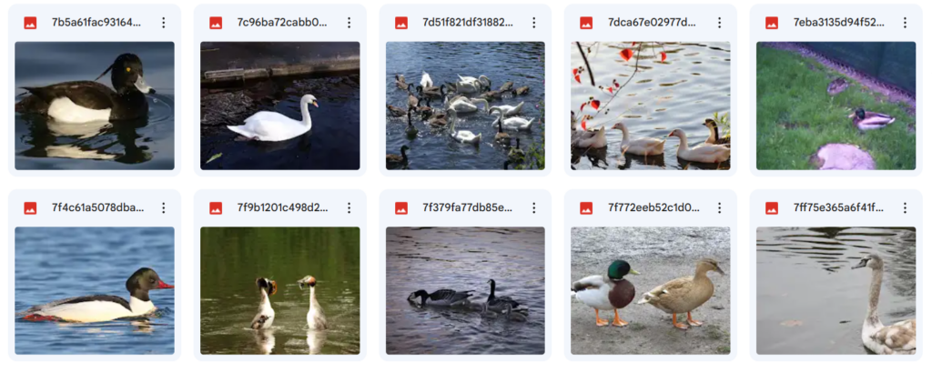Fine-tuning YOLOv8 for Image Segmentation with Comet - Comet