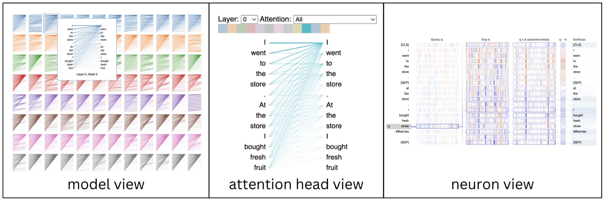 Explainable AI: Visualizing Attention in Transformers